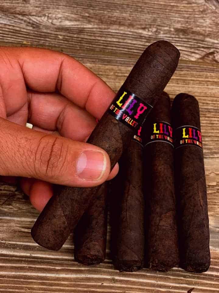 lily | Underground Cigar Shop & Lounge